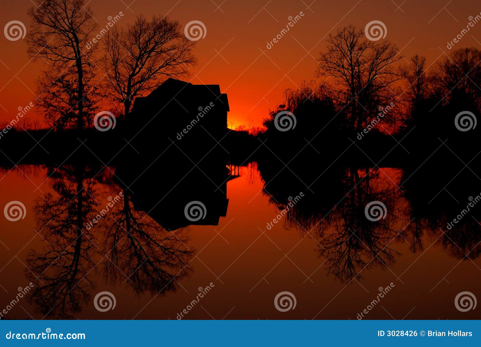 Fire on the pond stock photo. Image of silhoutte, lake - 3028426