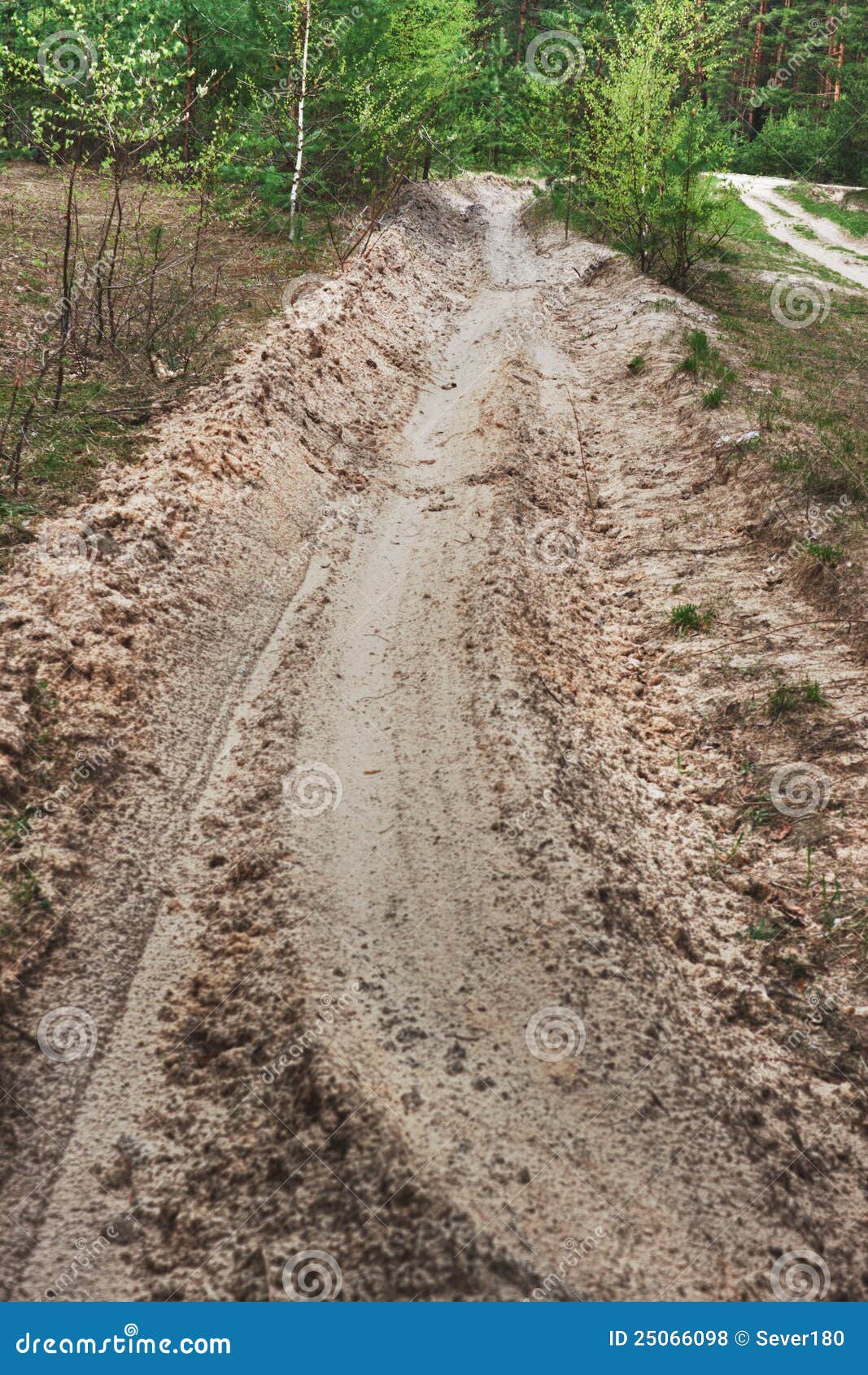 Fire Protection Measures in the Forest Stock Photo - Image of trench ...