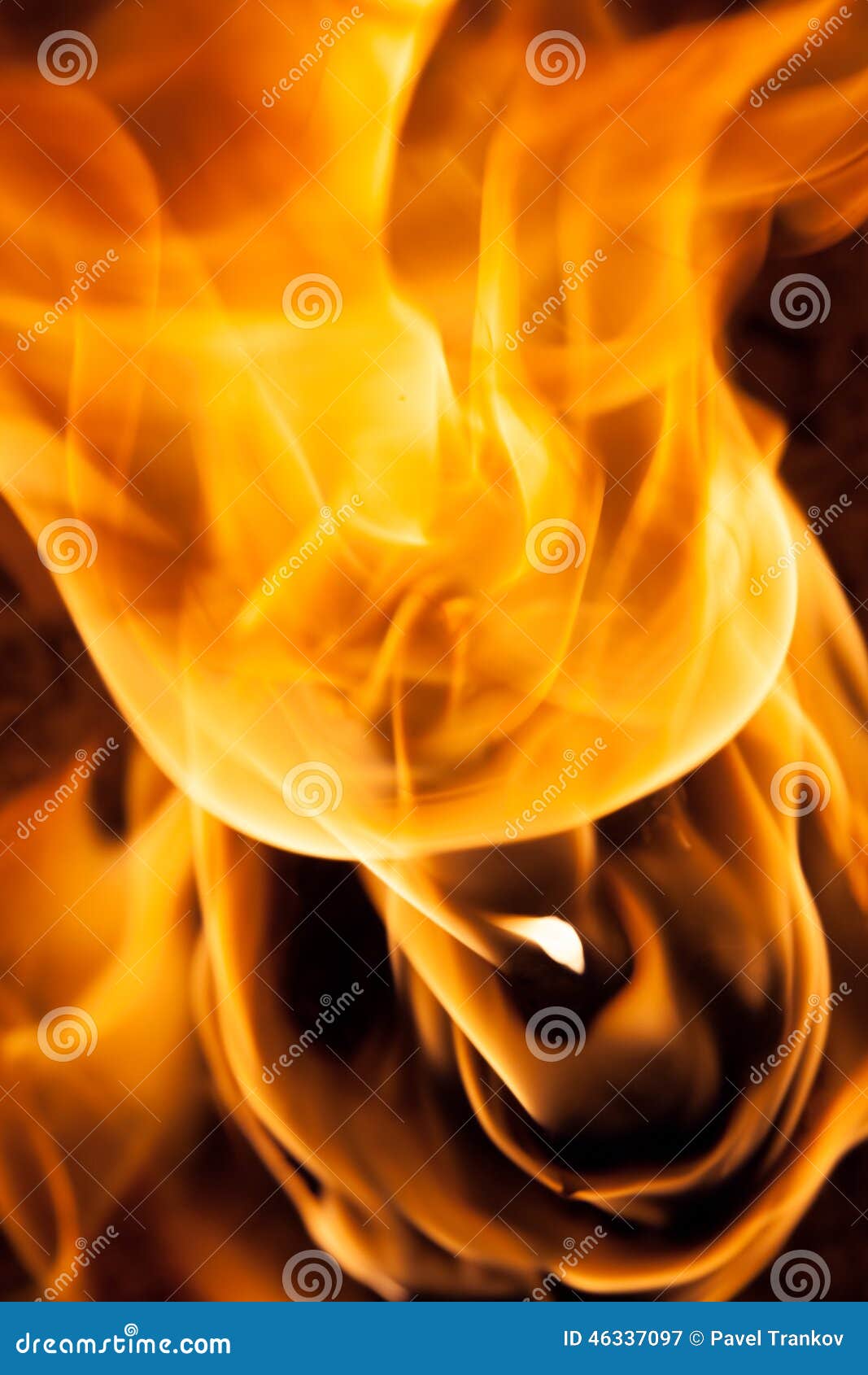 Fire stock image. Image of fire, heat, burning, nature - 46337097