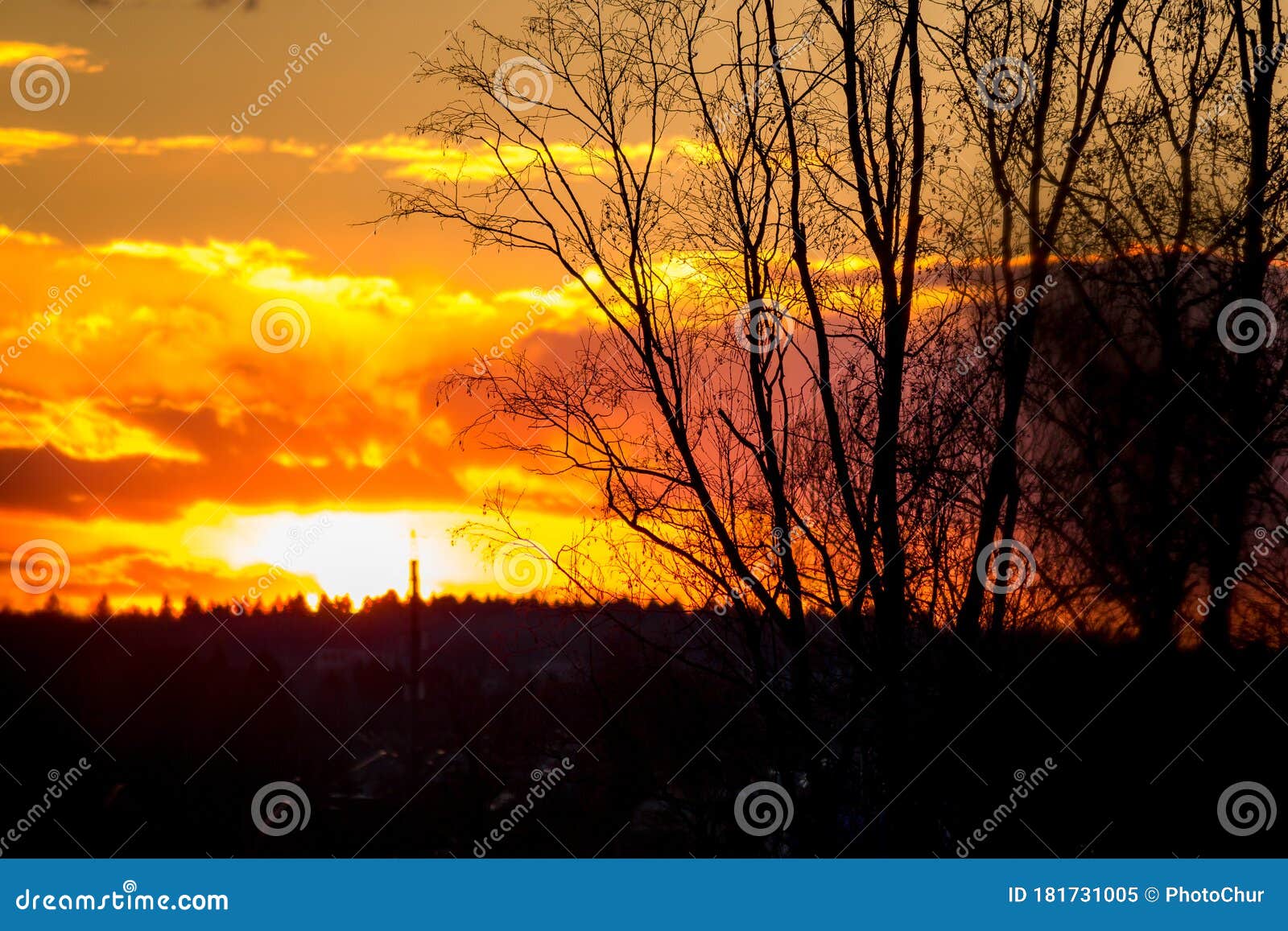 Fire Red Sunset Behind Trees Silhouette Stock Image - Image of clouds, background: 181731005