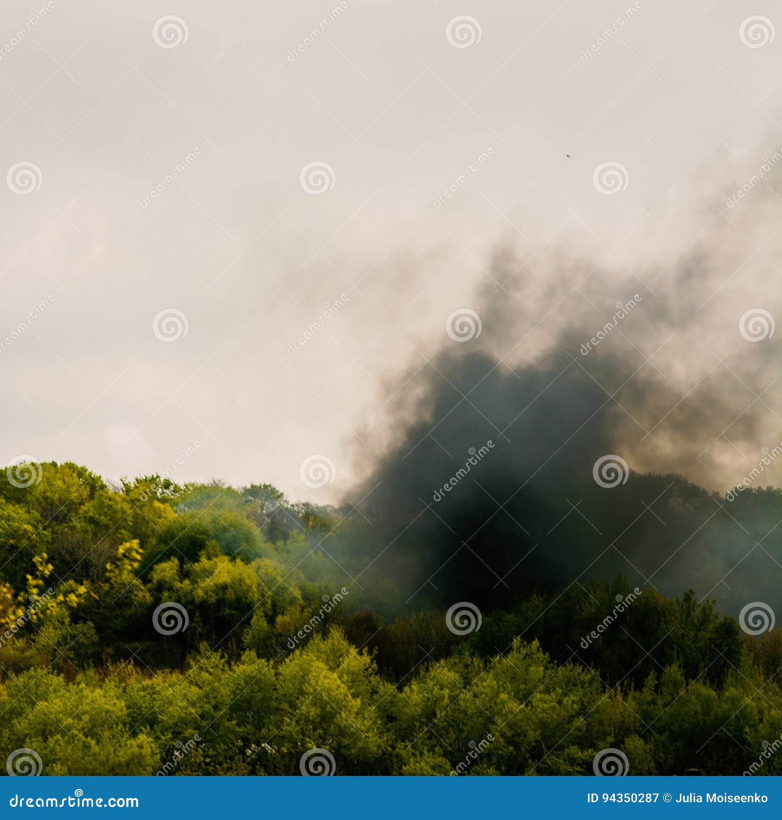 Fire Rises Above the Forest, Lots of Black, Dense Smoke. Stock Image ...