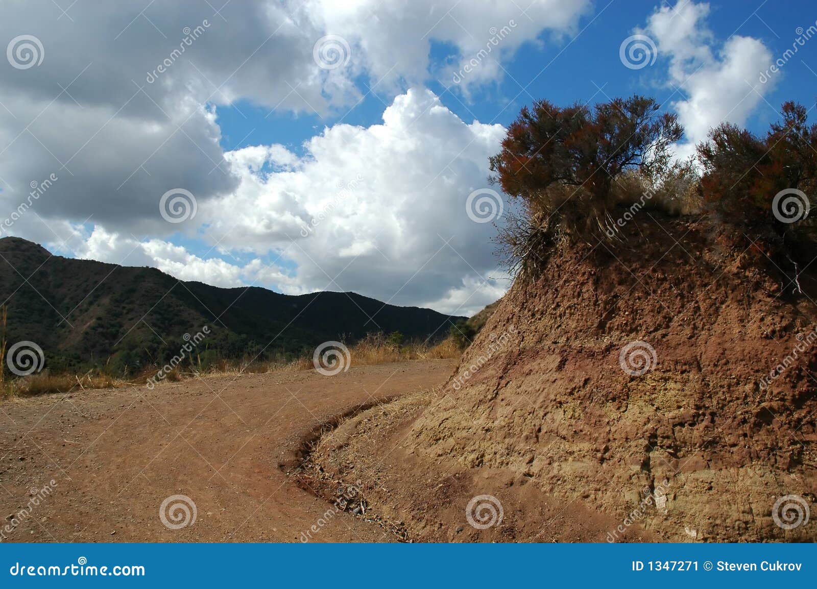 Fire Road stock image. Image of fire, forest, nature, break - 1347271