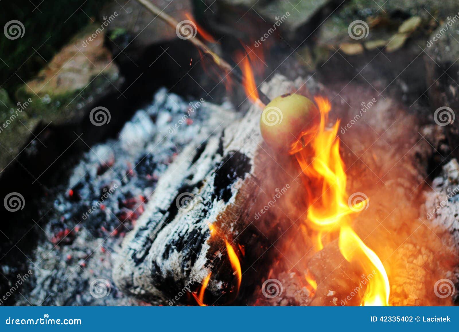 Fire roasted apples stock photo. Image of embers, firewood - 42335402