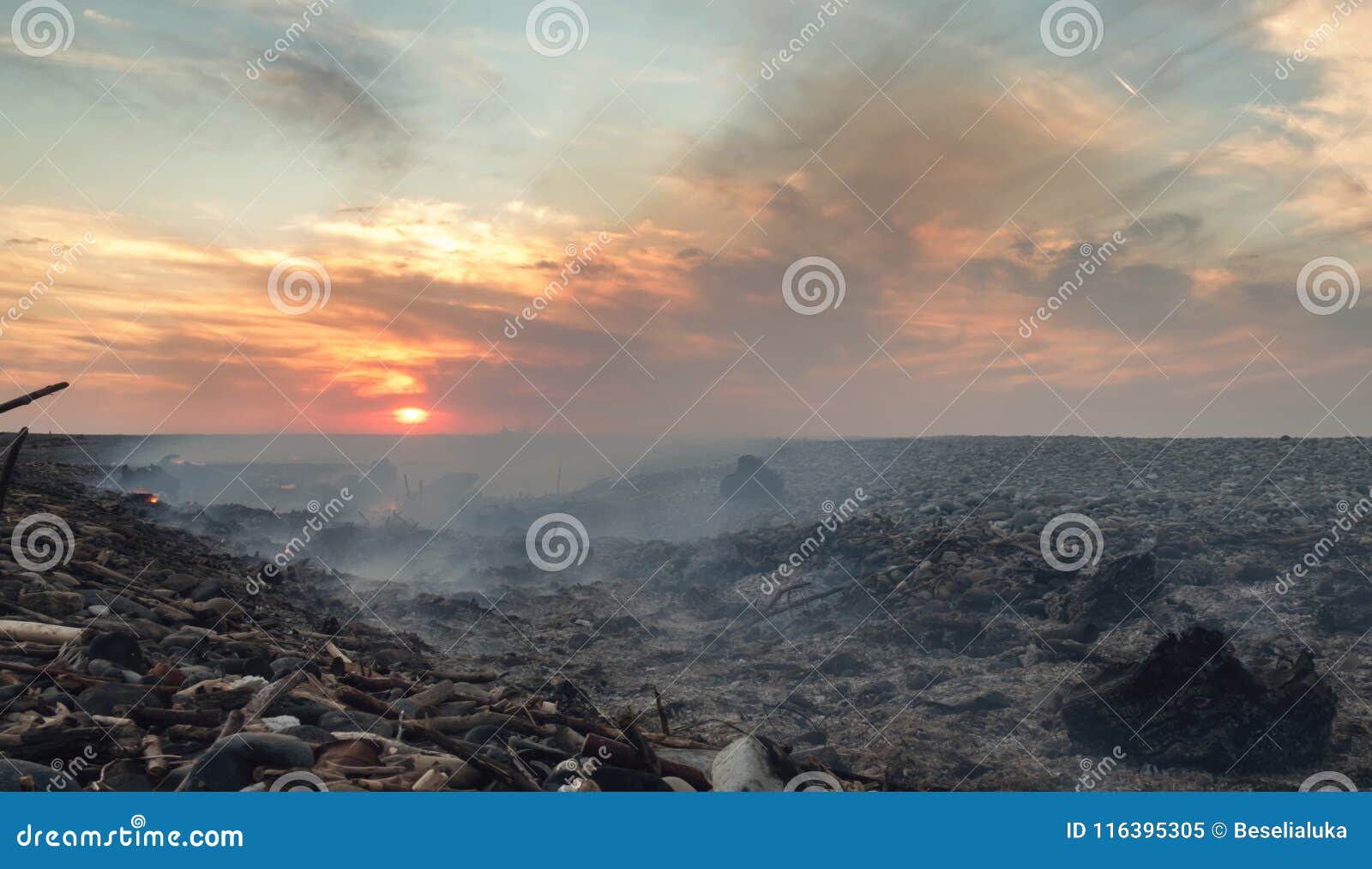 After the Fire on the Beach Stock Image - Image of travel, smoke: 116395305