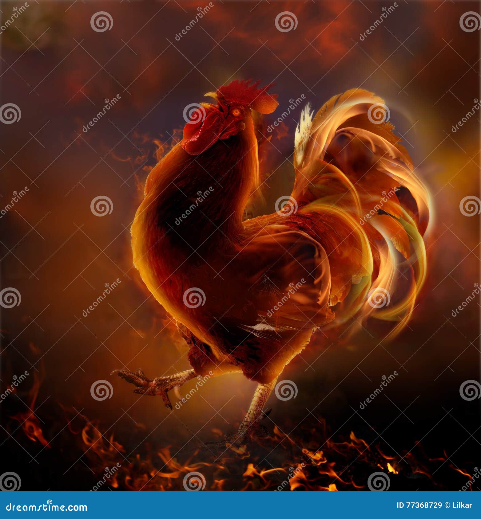 Fire Rooster.Symbol of New Year 2017 Stock Image - Image of colorful ... Fire Rooster.Symbol of New Year 2017 Stock Image - Image of colorful ...