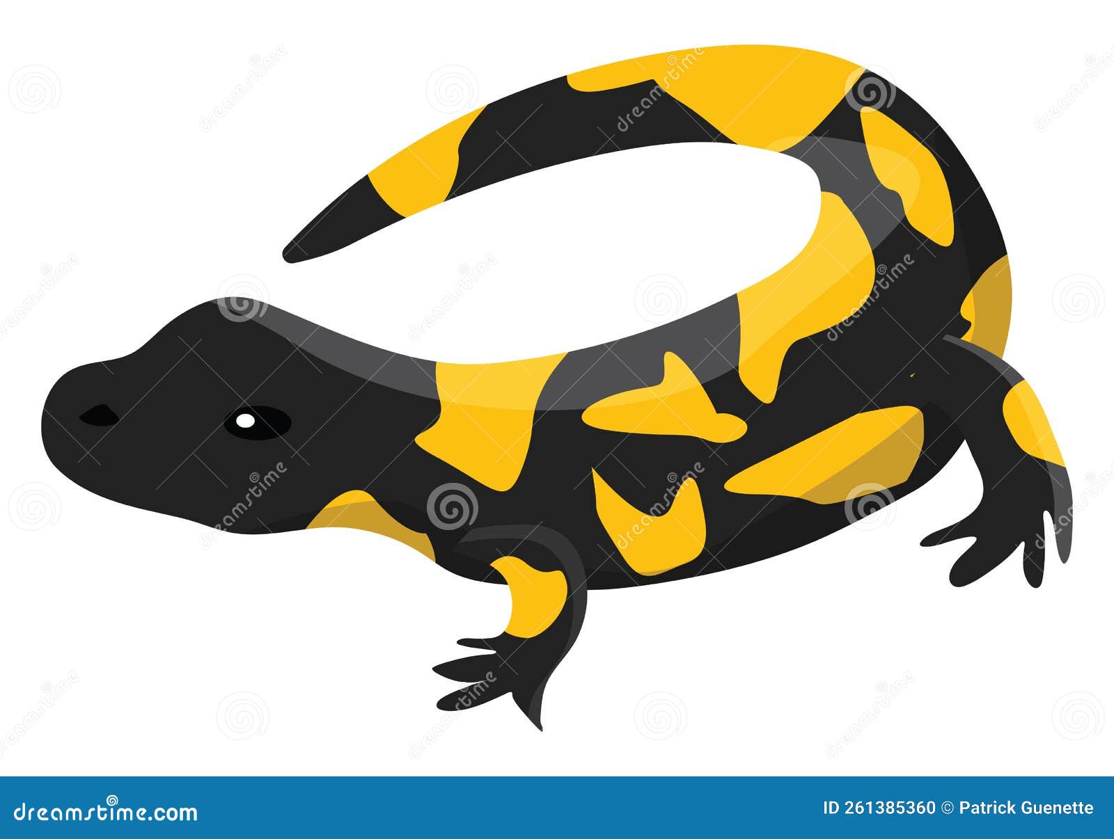 Fire salamander, icon stock vector. Illustration of warning - 261385360