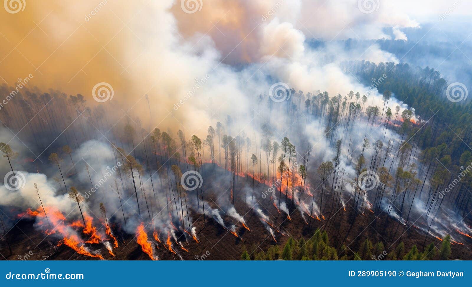 Fire Scene in Forest, Power Fire with Smoke in Forest Stock Photo ...