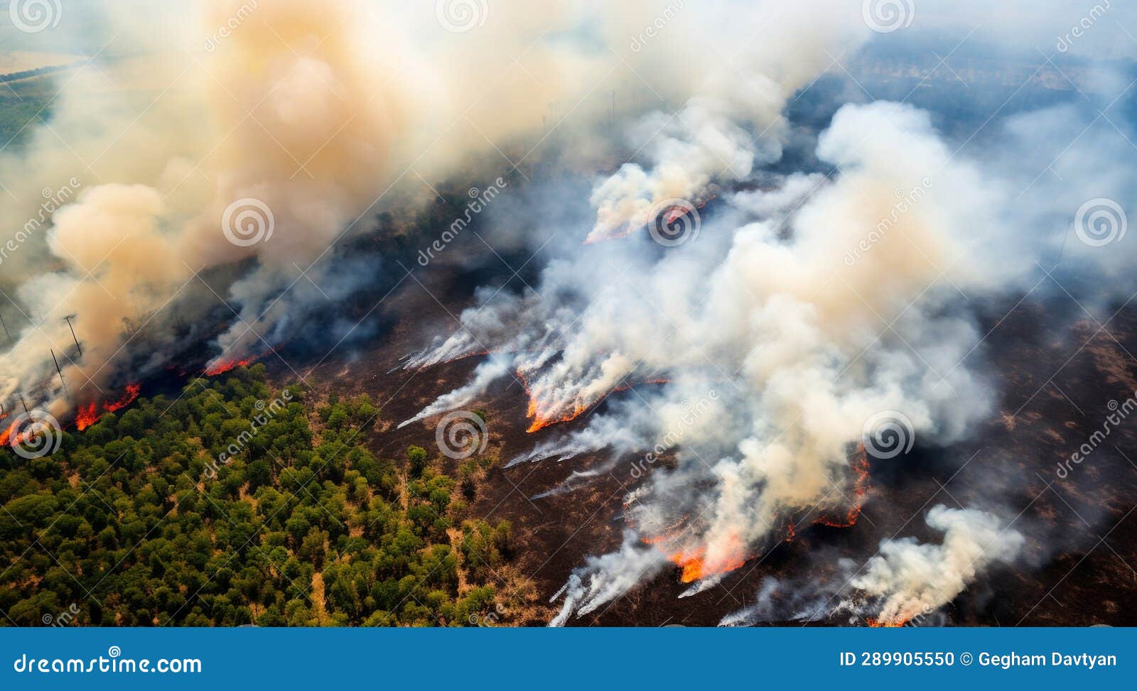 Fire Scene in Forest, Power Fire with Smoke in Forest Stock Photo ...