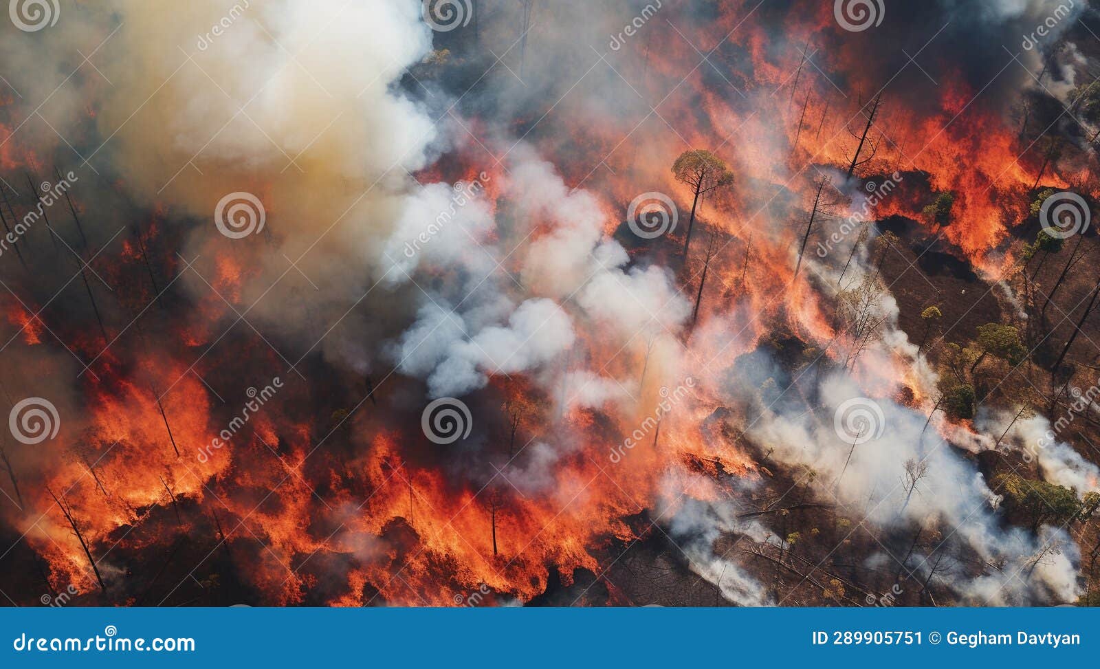 Fire Scene in Forest, Power Fire with Smoke in Forest Stock Image ...