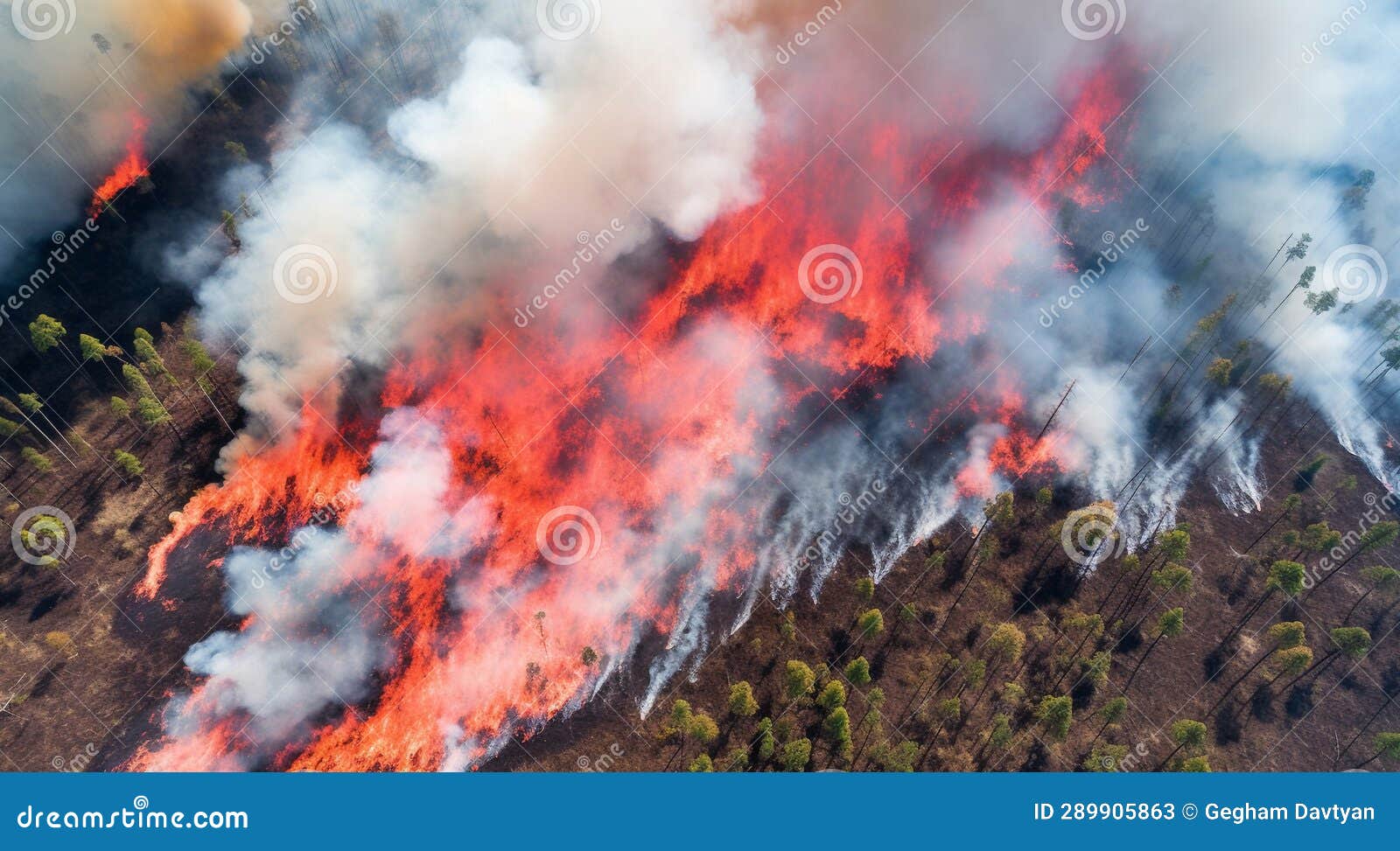 Fire Scene in Forest, Power Fire with Smoke in Forest Stock Image ...