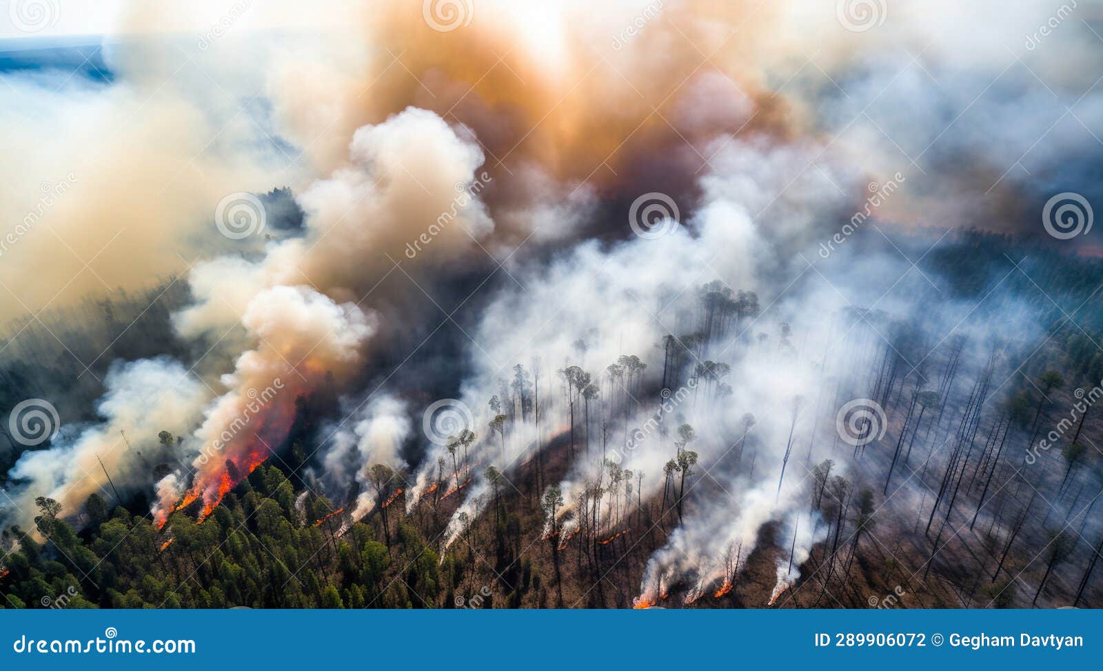 Fire Scene in Forest, Power Fire with Smoke in Forest Stock Photo ...