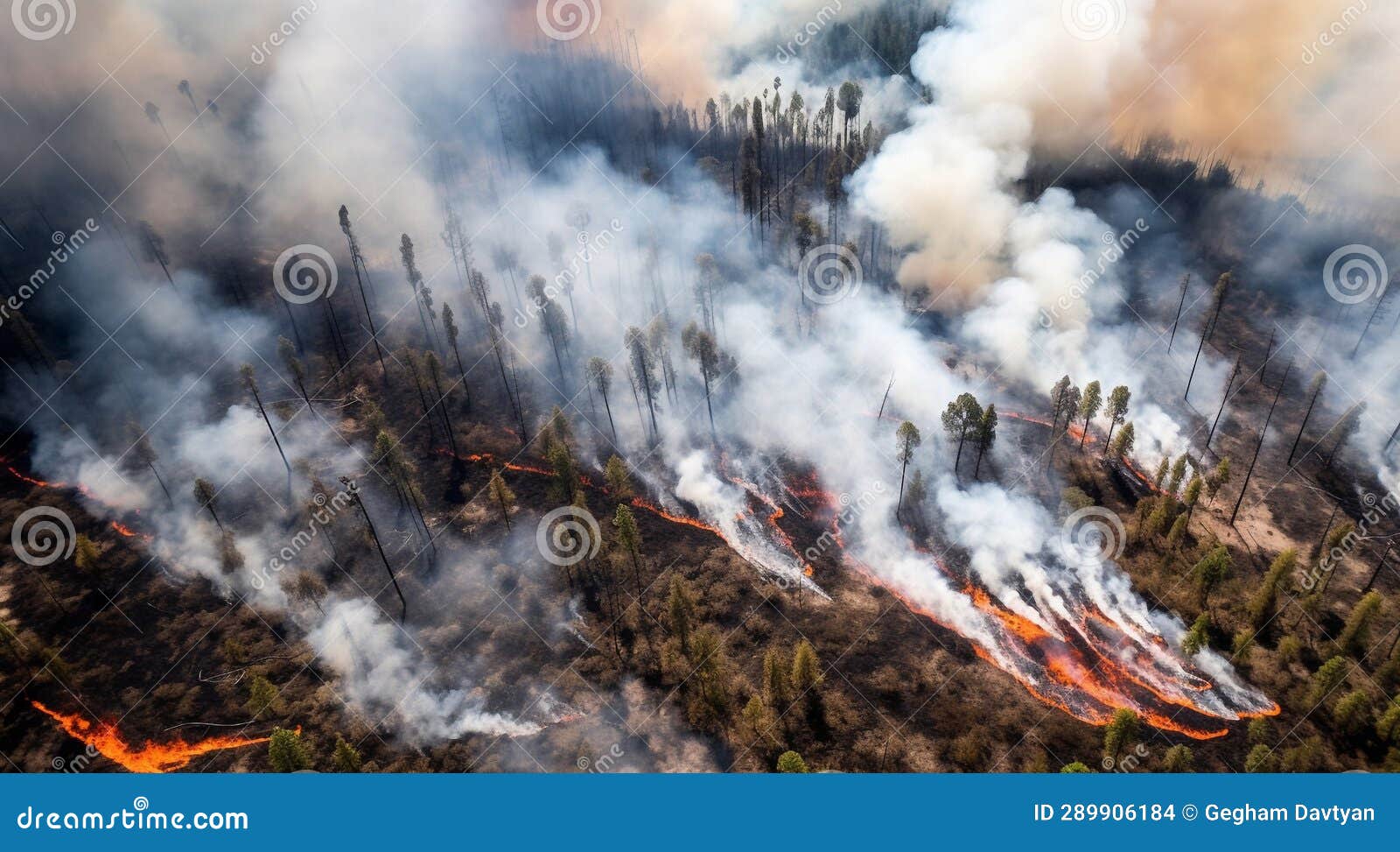 Fire Scene in Forest, Power Fire with Smoke in Forest Stock Photo ...