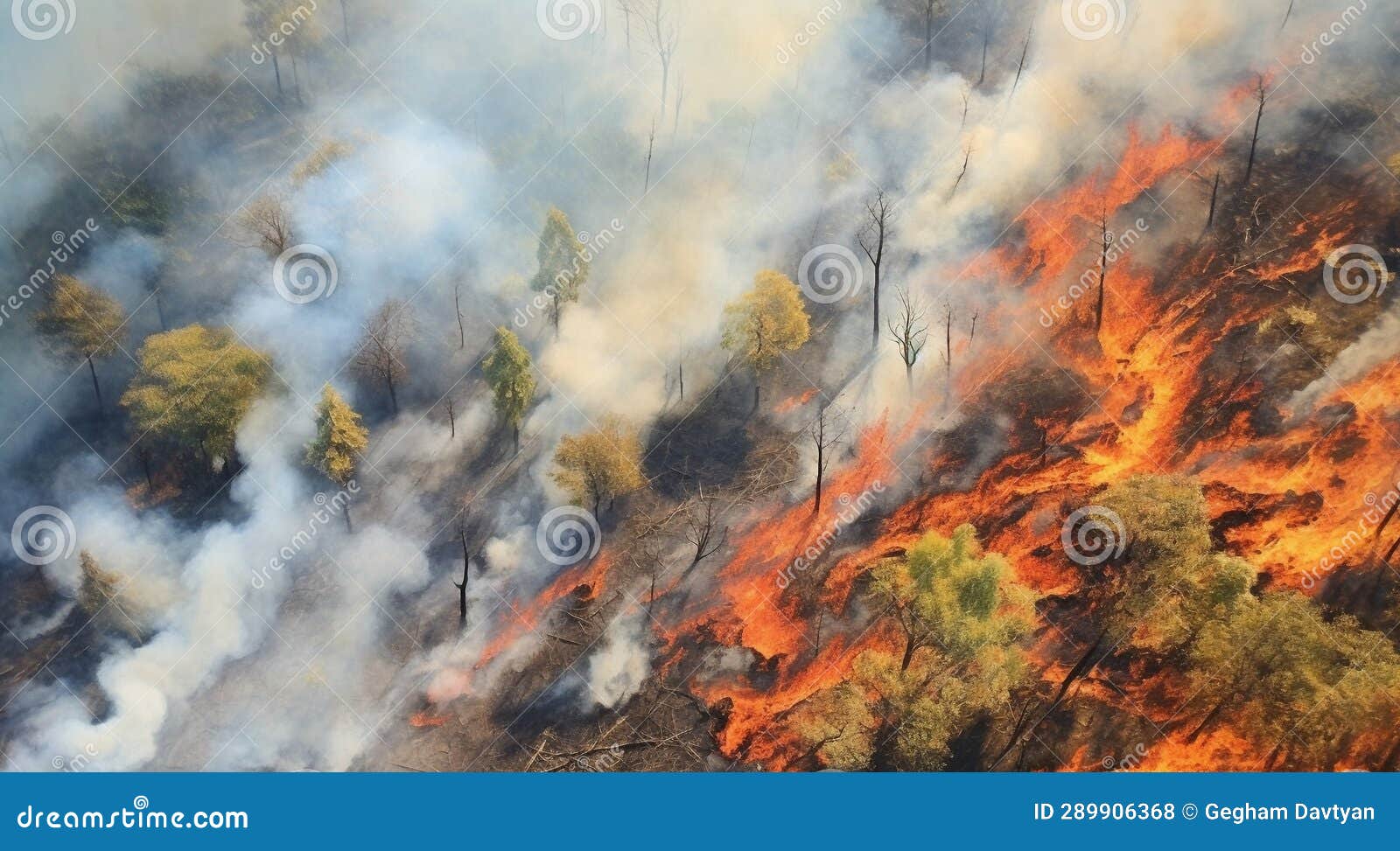 Fire Scene in Forest, Power Fire with Smoke in Forest Stock Photo ...