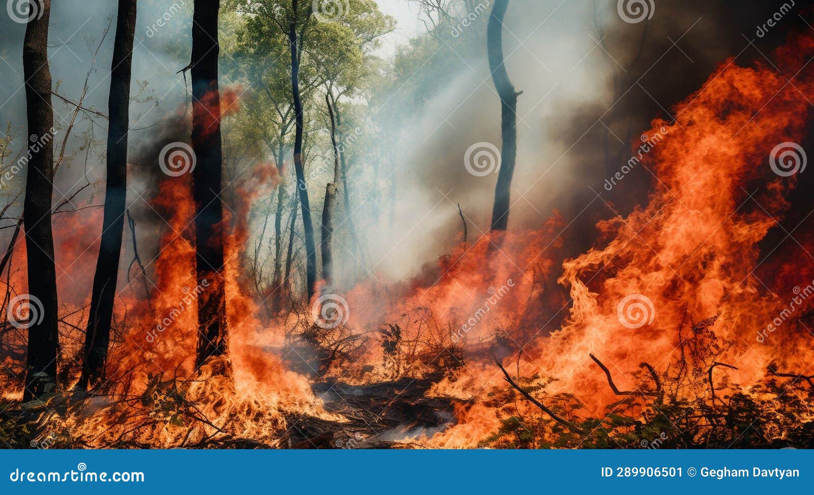 Fire Scene in Forest, Power Fire with Smoke in Forest Stock Image ...