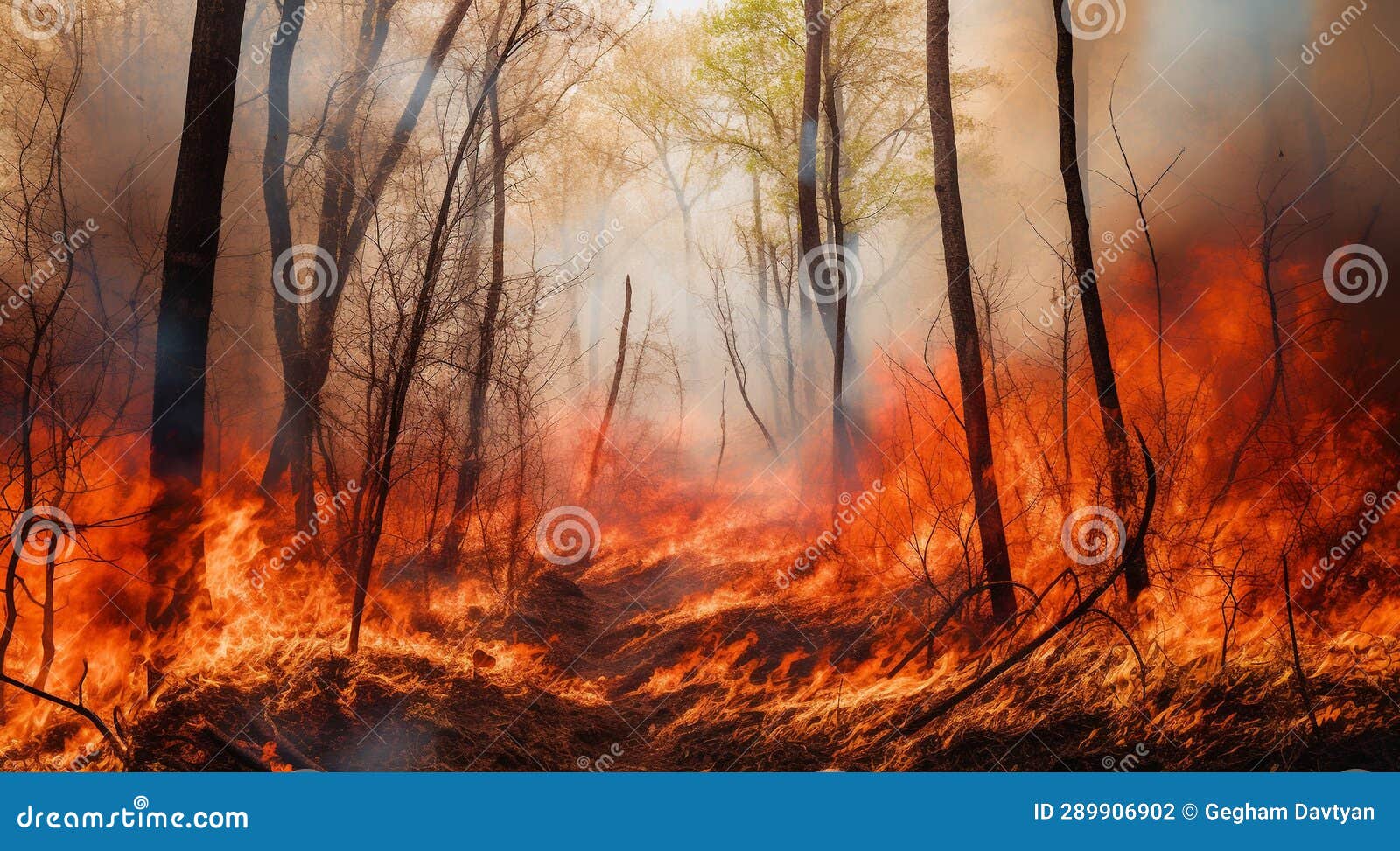 Fire Scene in Forest, Power Fire with Smoke in Forest Stock Photo ...