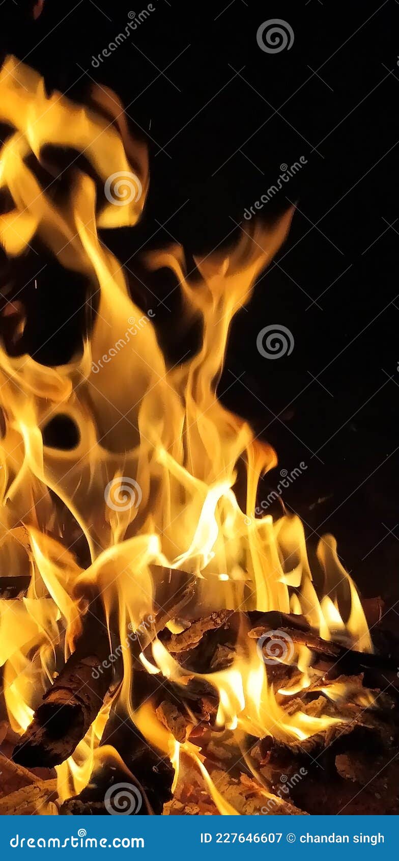 Fire shape stock image. Image of font, flame, fire, quail - 227646607