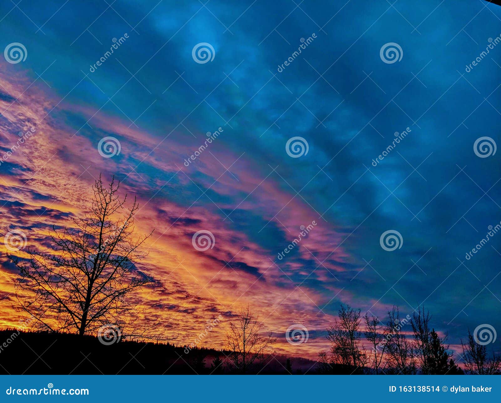 Fire in the sky stock photo. Image of fire, burning - 163138514