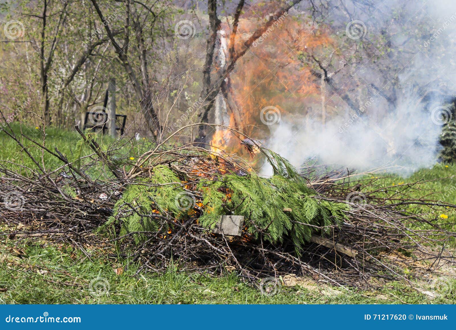 Fire and Smoke from during Burning Branches Stock Photo - Image of farm ...