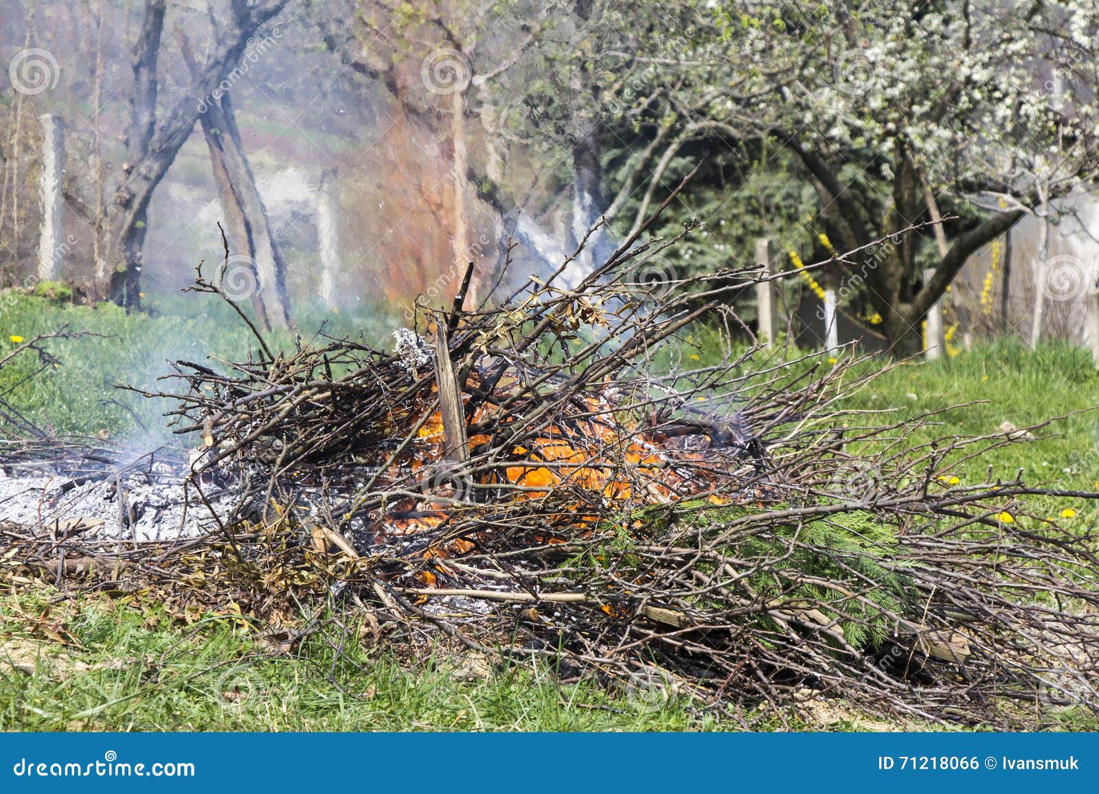 Fire and Smoke from during Burning Branches Stock Photo - Image of burn ...