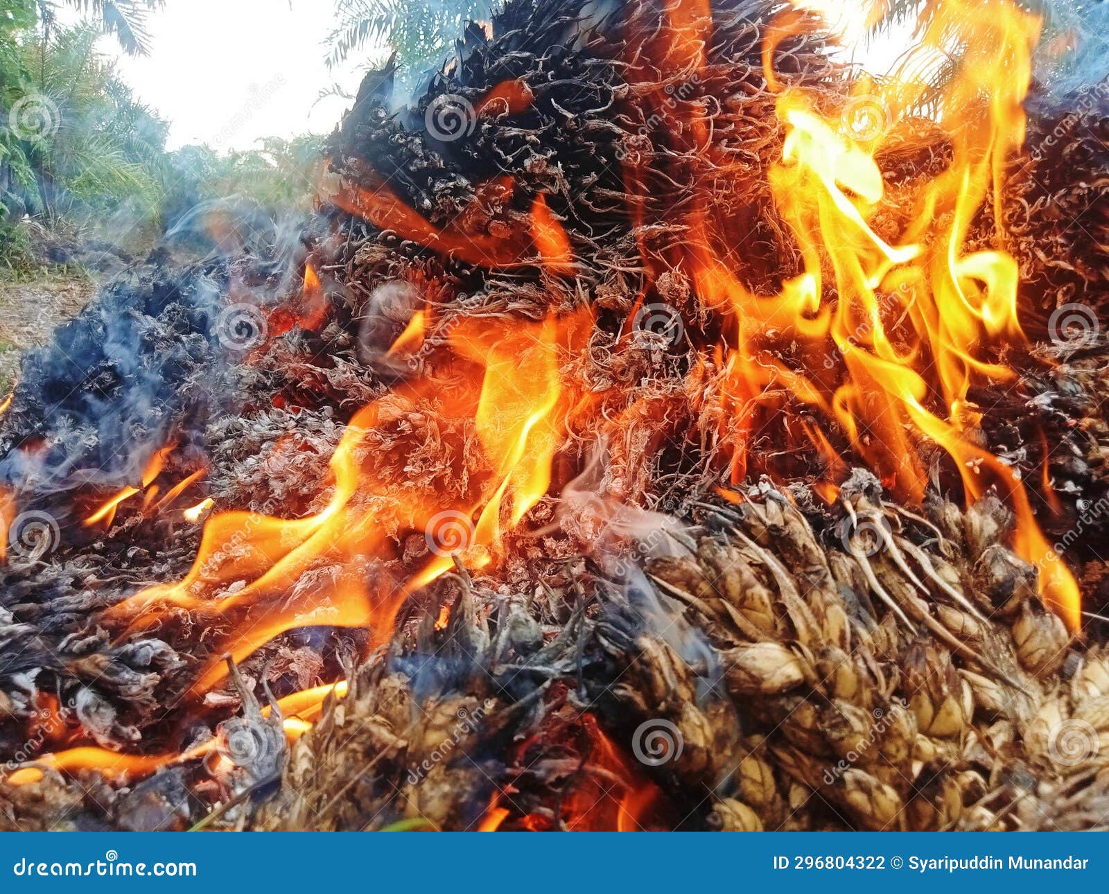 Burning Waste Causes Air Pollution Stock Photography | CartoonDealer ...