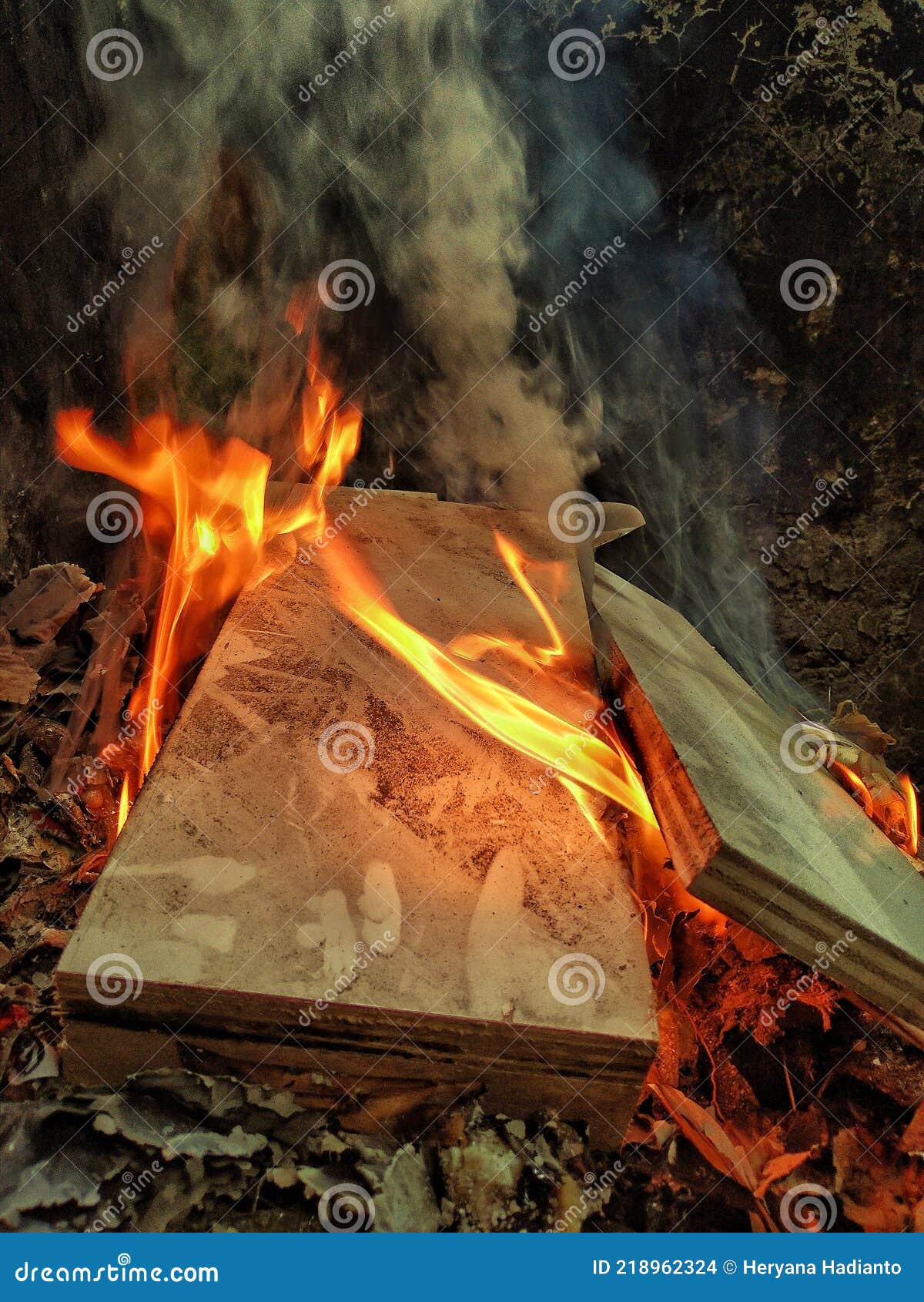 Fire and Smoke Coming Out of the Burning Wood Stock Photo - Image of ...