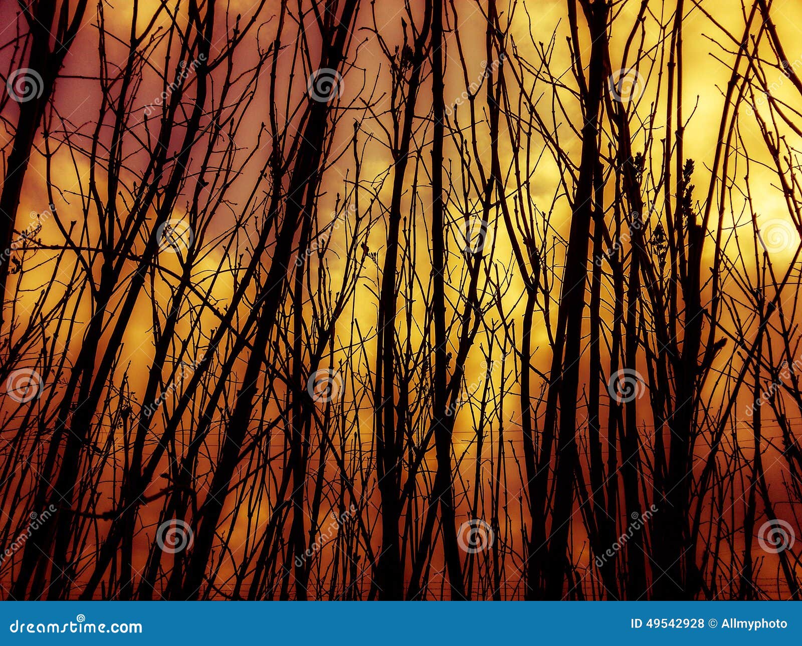 Fire and smoke in nature stock photo. Image of black - 49542928