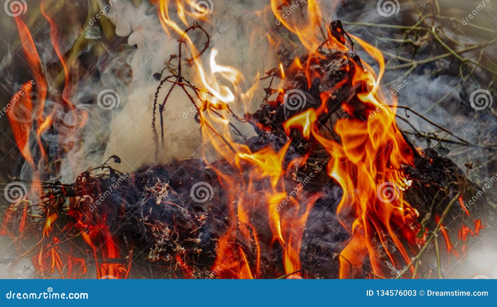 Fire smoke stock image. Image of smoke, heat, fire, smokey - 134576003