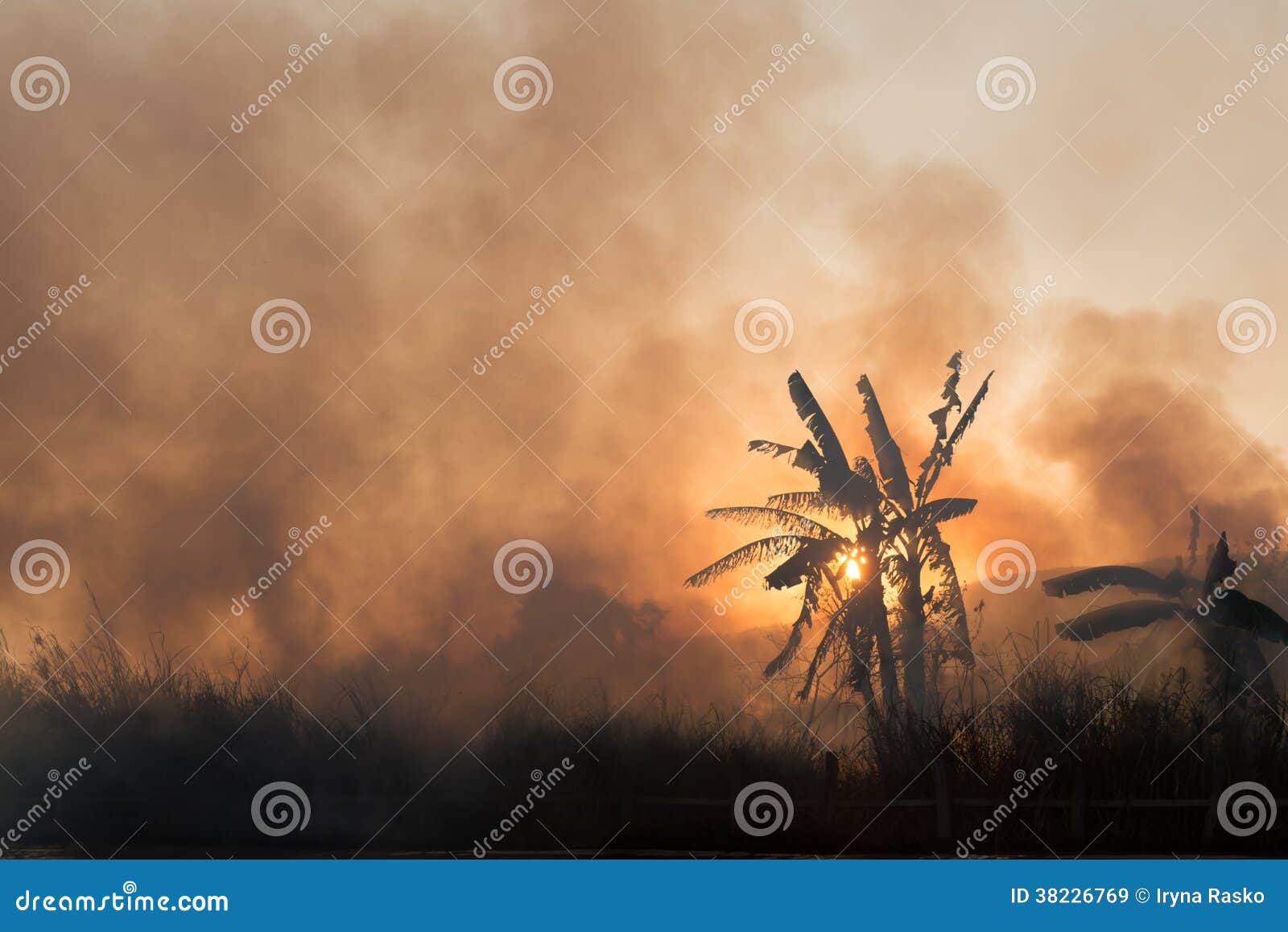 Fire and Smoke on Tropical Fields Stock Image - Image of deforestation ...