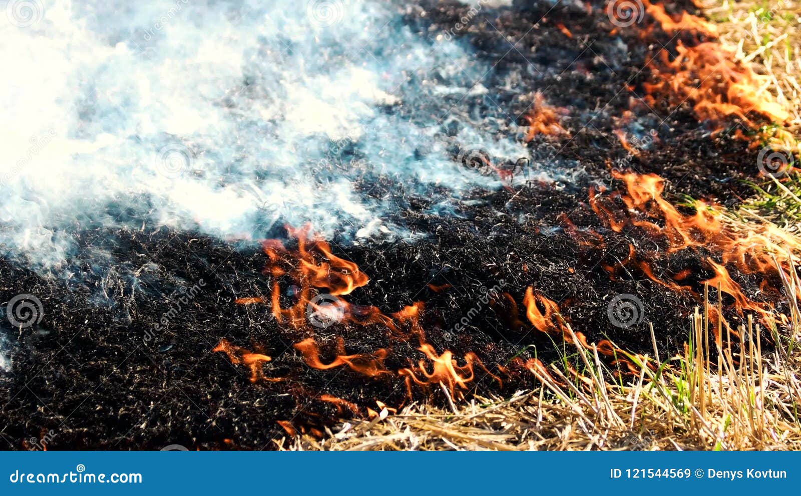 Fire Smoldering and Spreading. Stock Video - Video of heat, flame ...