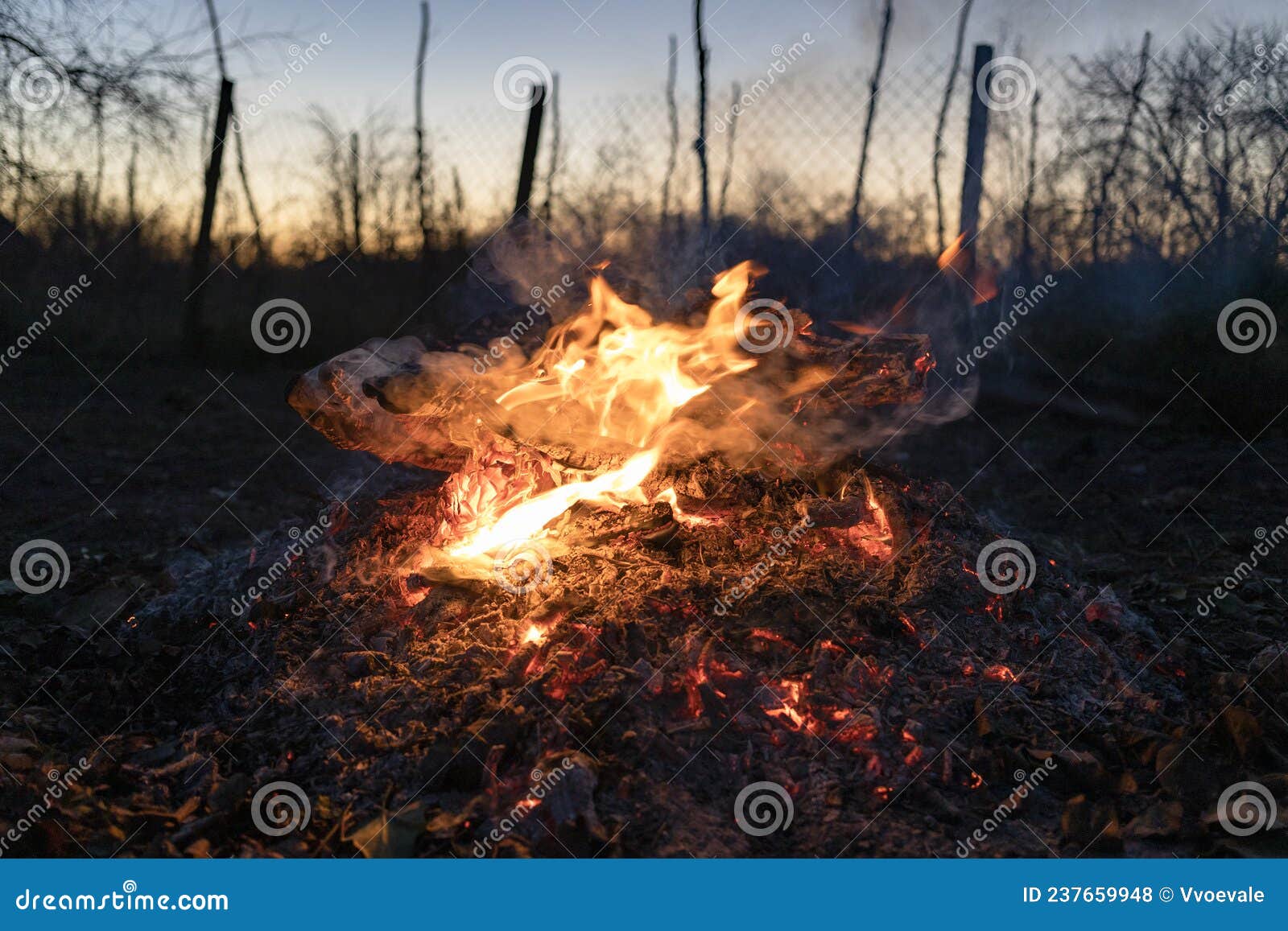 Fire Smolders on Hot Ash in Garden in Dusk Stock Photo - Image of night ...