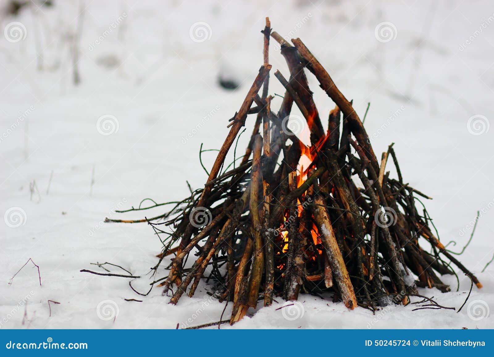 Fire in the snow stock photo. Image of wood, nature, tree - 50245724