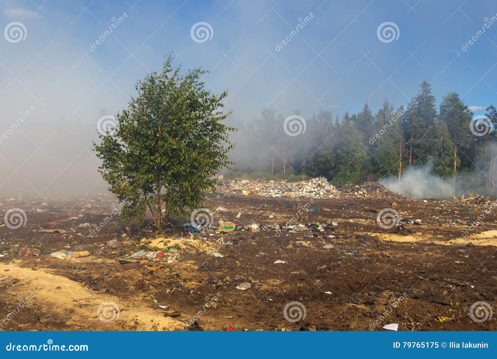 During the Fire at the Solid Waste Landfill. Stock Image - Image of ...