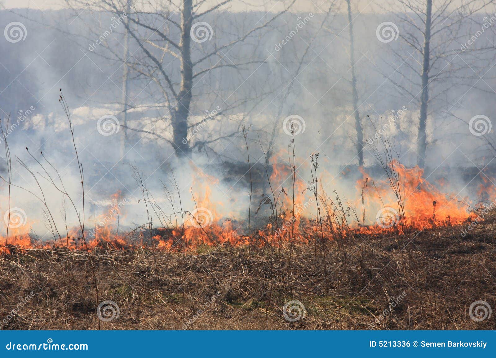 Fire in spring stock photo. Image of flareup, bonfire - 5213336