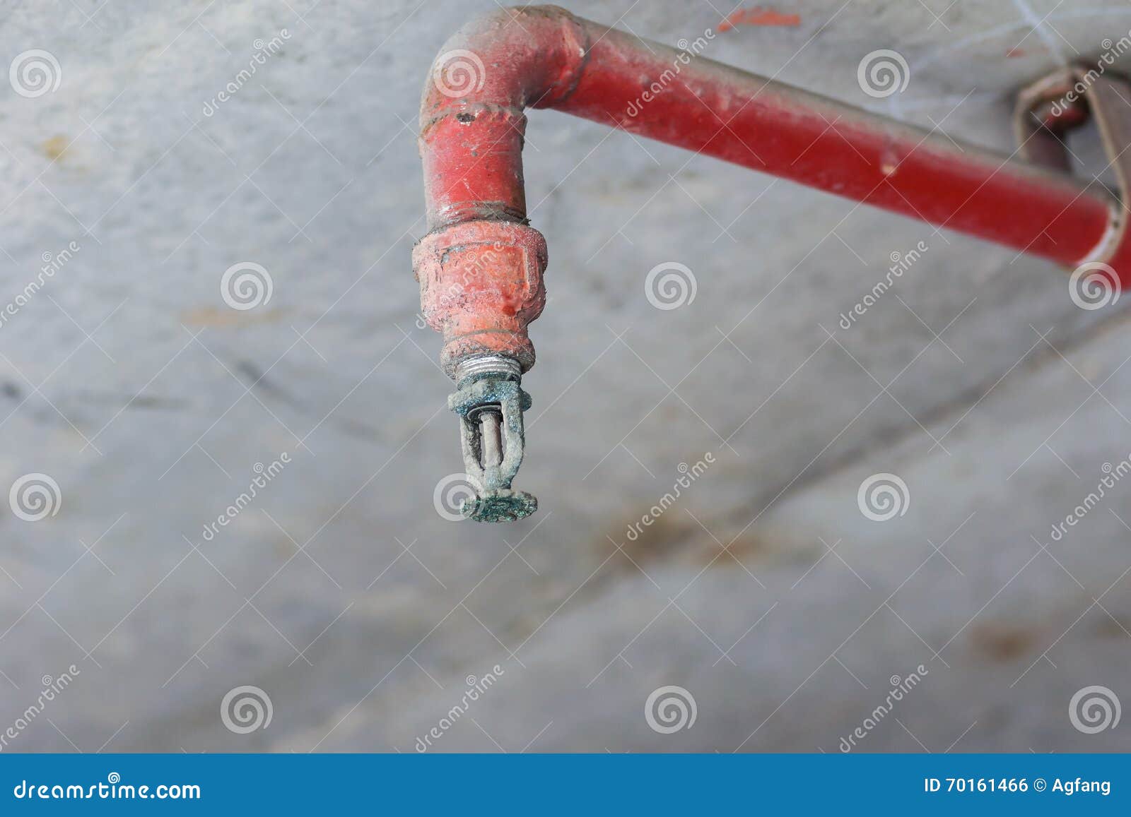 Fire sprinkler stock photo. Image of security, head, chrome - 70161466