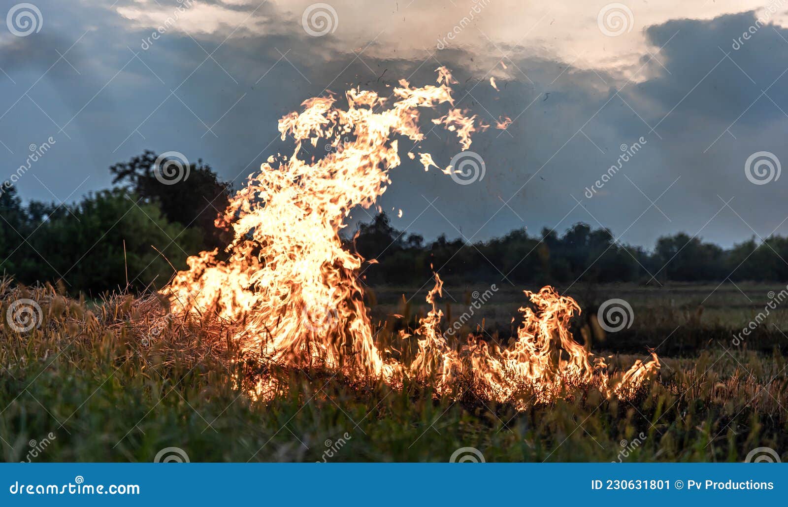 A Fire Burns in a Field with Dry Grass Stock Image - Image of grass ...