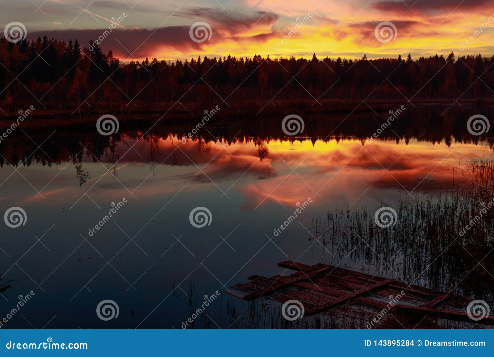 Fire Sunset on the Forest Lake Stock Photo - Image of travel, forest ...