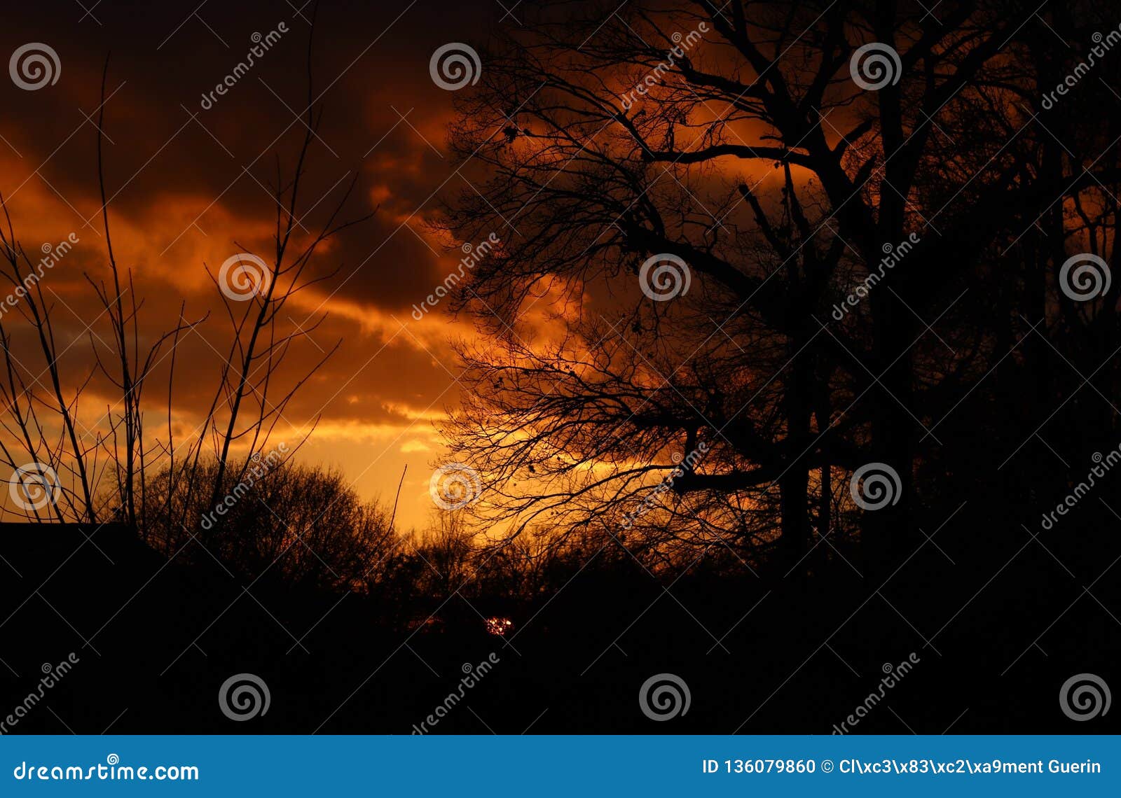 Fire sunset stock photo. Image of fire, arbre, coucher - 136079860