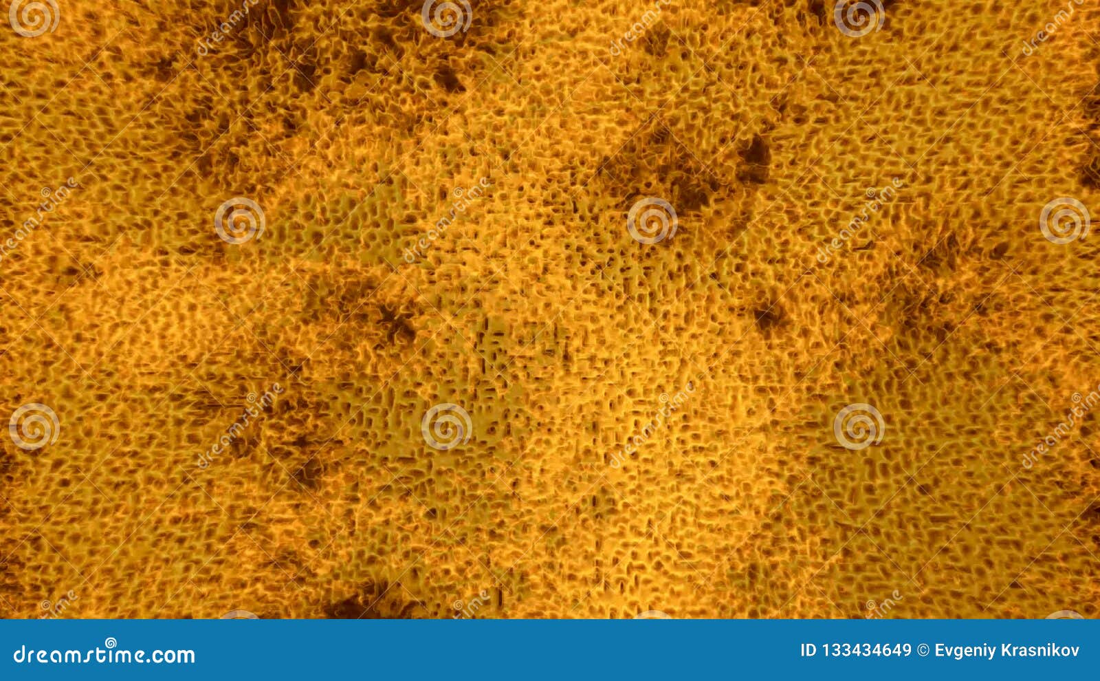 Fire Surface. on the Burning Surface There are Emissions of Flame. the ...