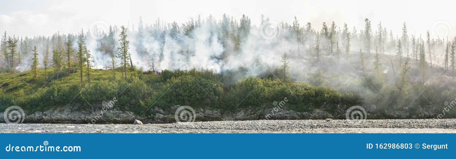 Fire in the taiga stock image. Image of flame, smoky - 162986803