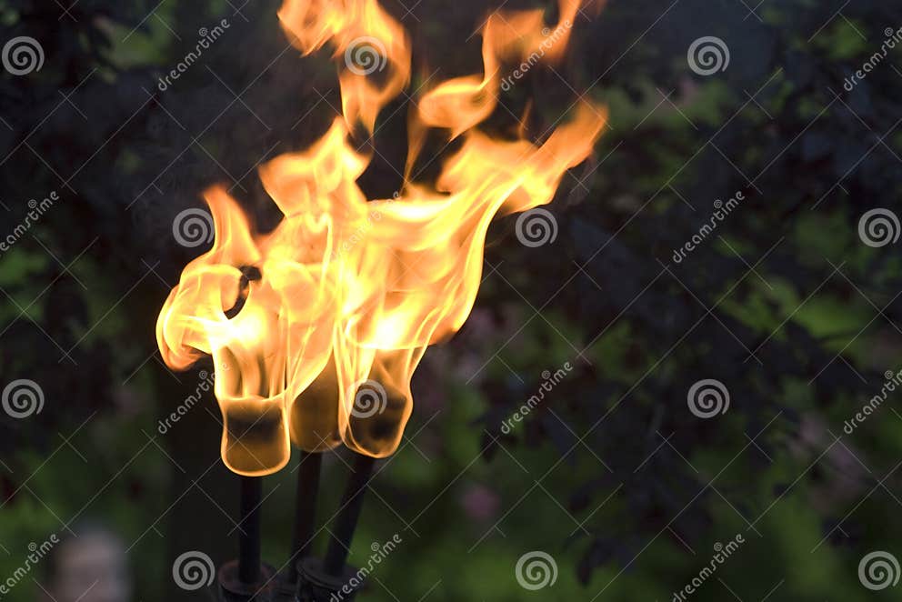 Fire torch stock image. Image of dres, abstract, flame - 15142707
