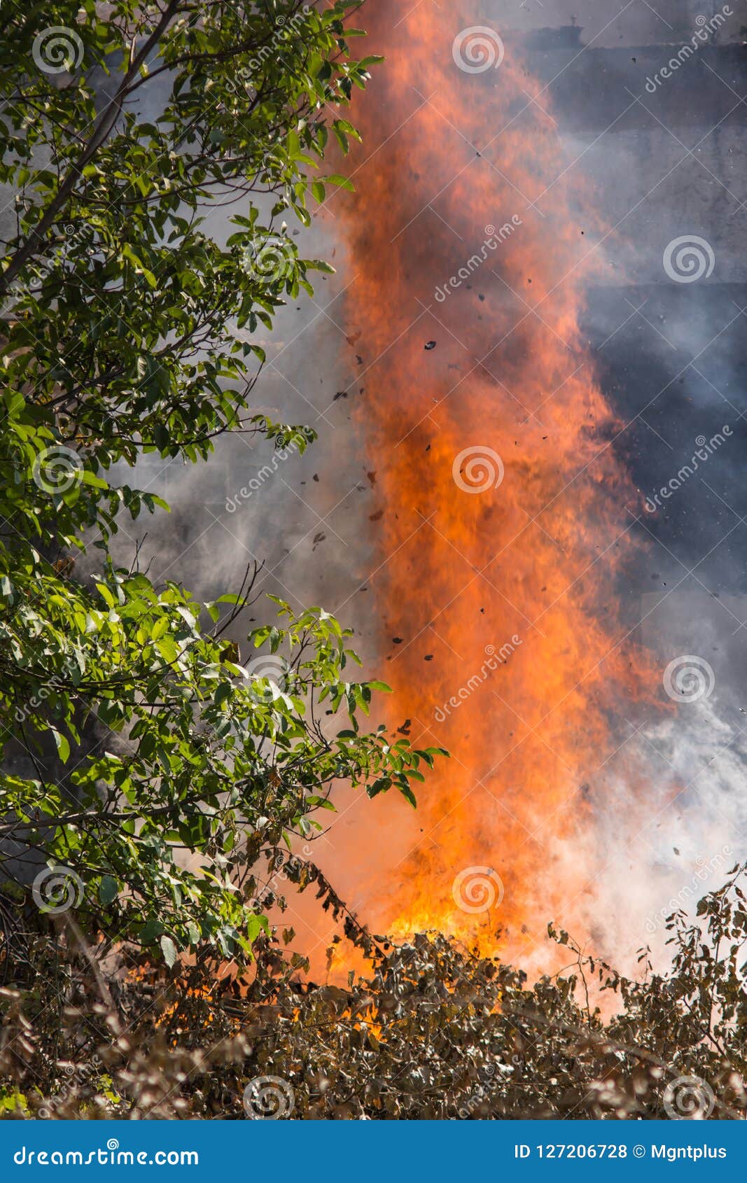 Fire in the village stock photo. Image of fire, negligence - 127206728