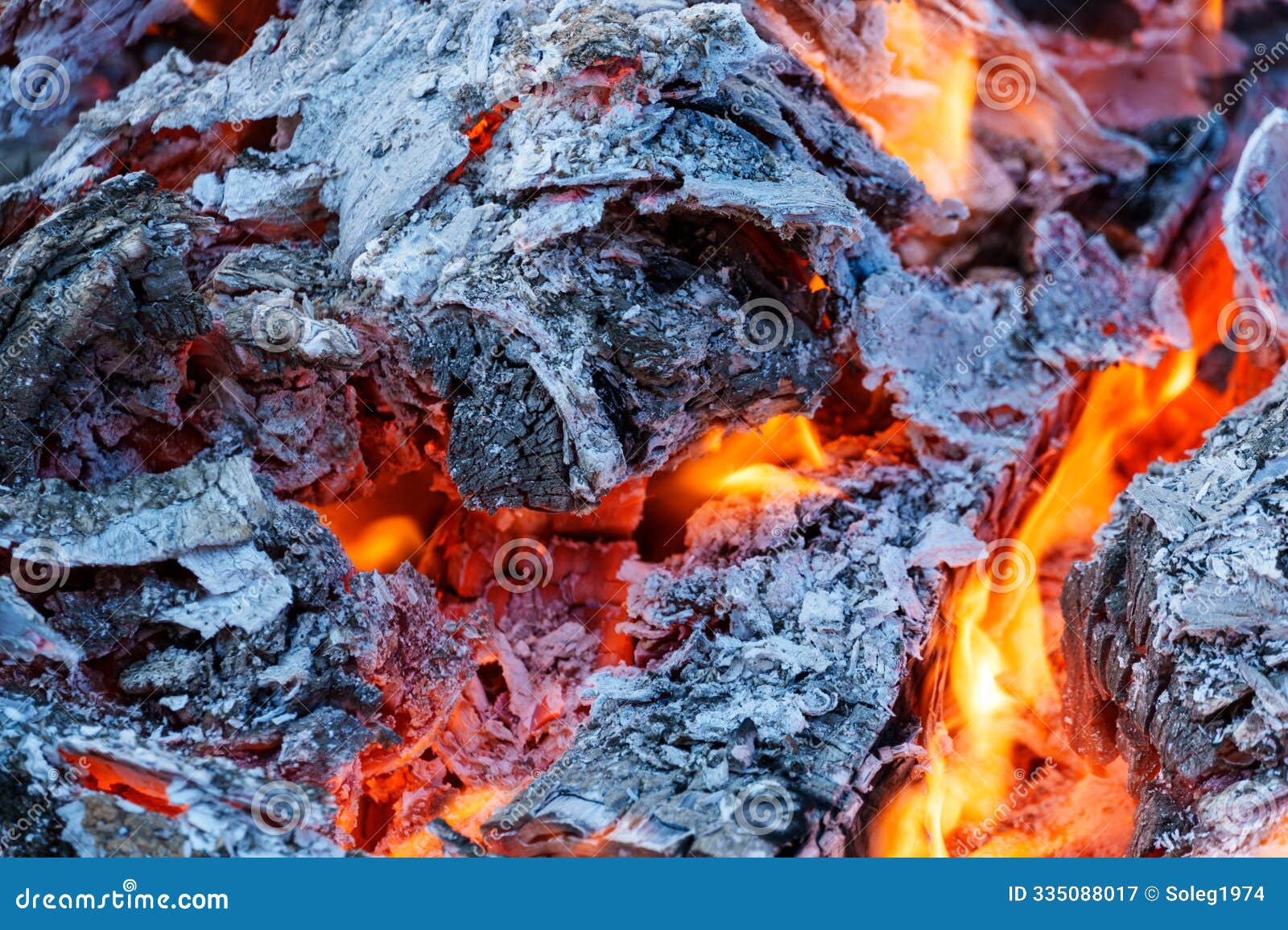 Fire Up Close, Burning Wood, Burning Flames Stock Image - Image of ...