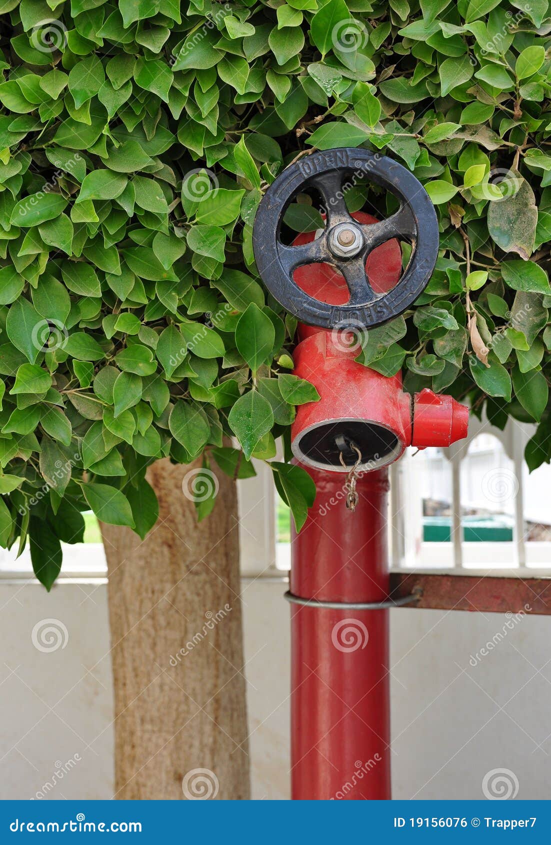Fire valve. stock photo. Image of safe, prevention, means - 19156076