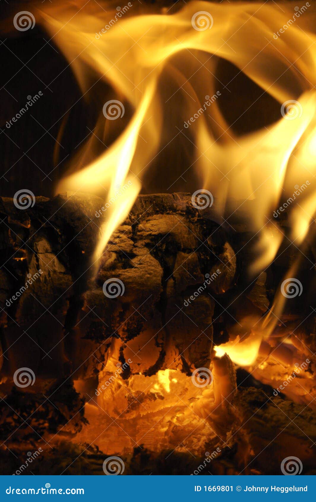 Fire Vertical stock image. Image of warm, campfire, coal - 1669801