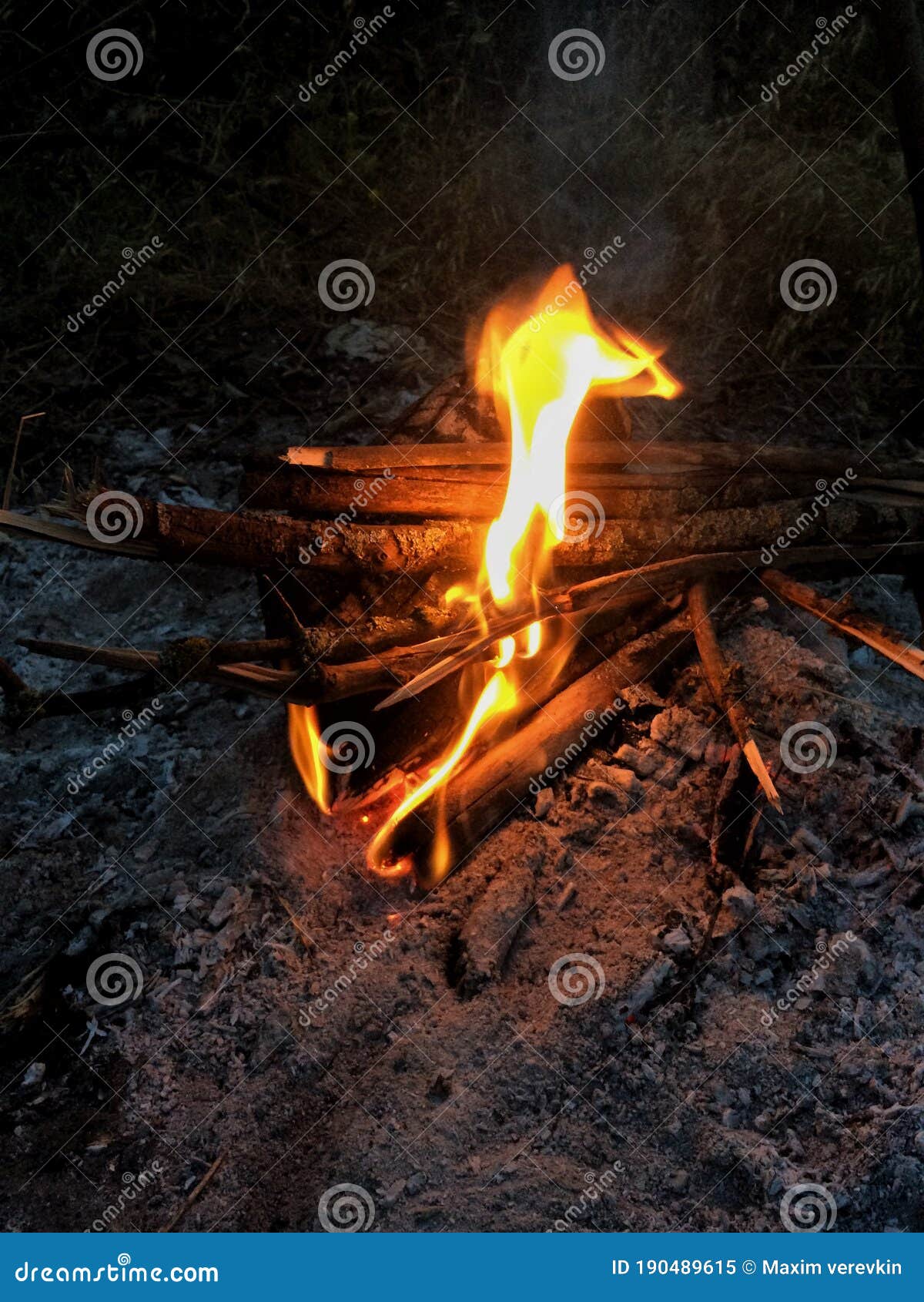 Fire stock image. Image of night, fire, forest, warm - 190489615