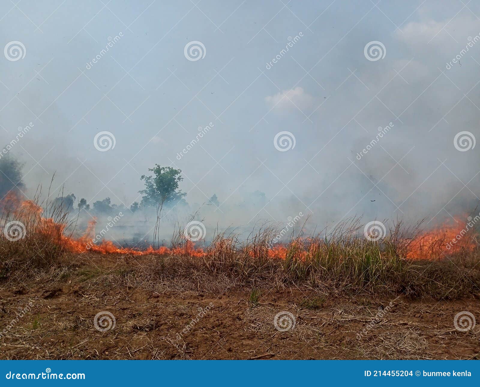 The Fire Was Caused by the Burning of the Fields Stock Photo - Image of ...