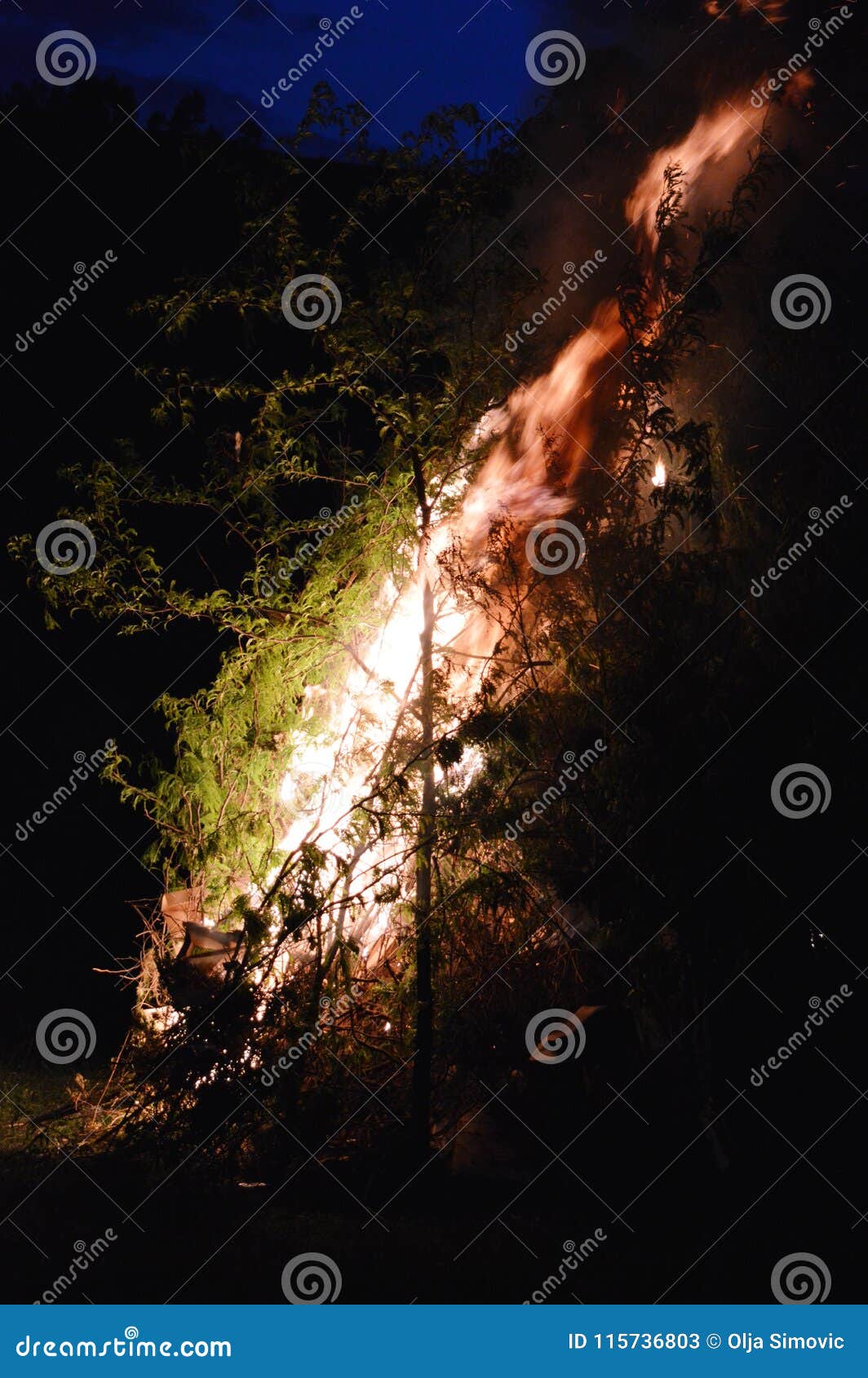 Fire was lit at night stock image. Image of tree, branch - 115736803