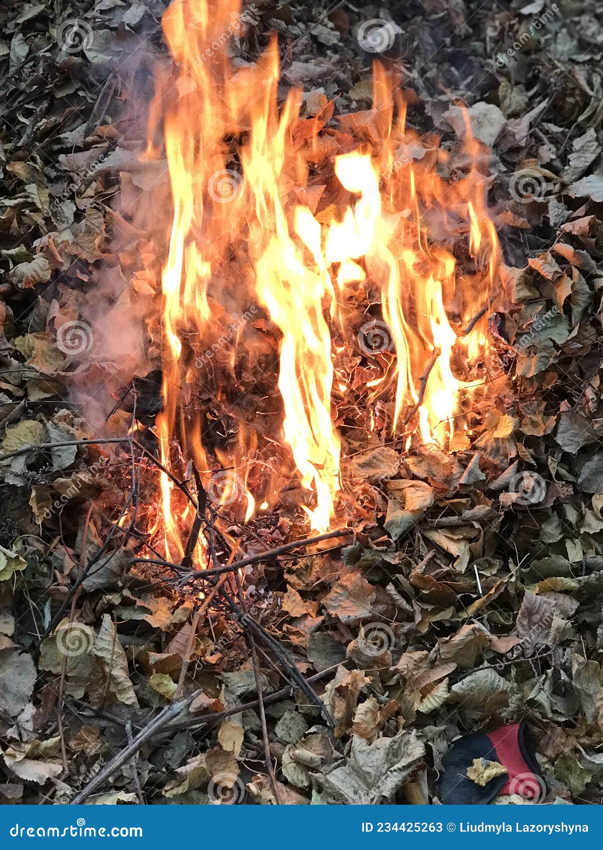 Flame stock image. Image of pile, autumn, leaves, fire - 234425263