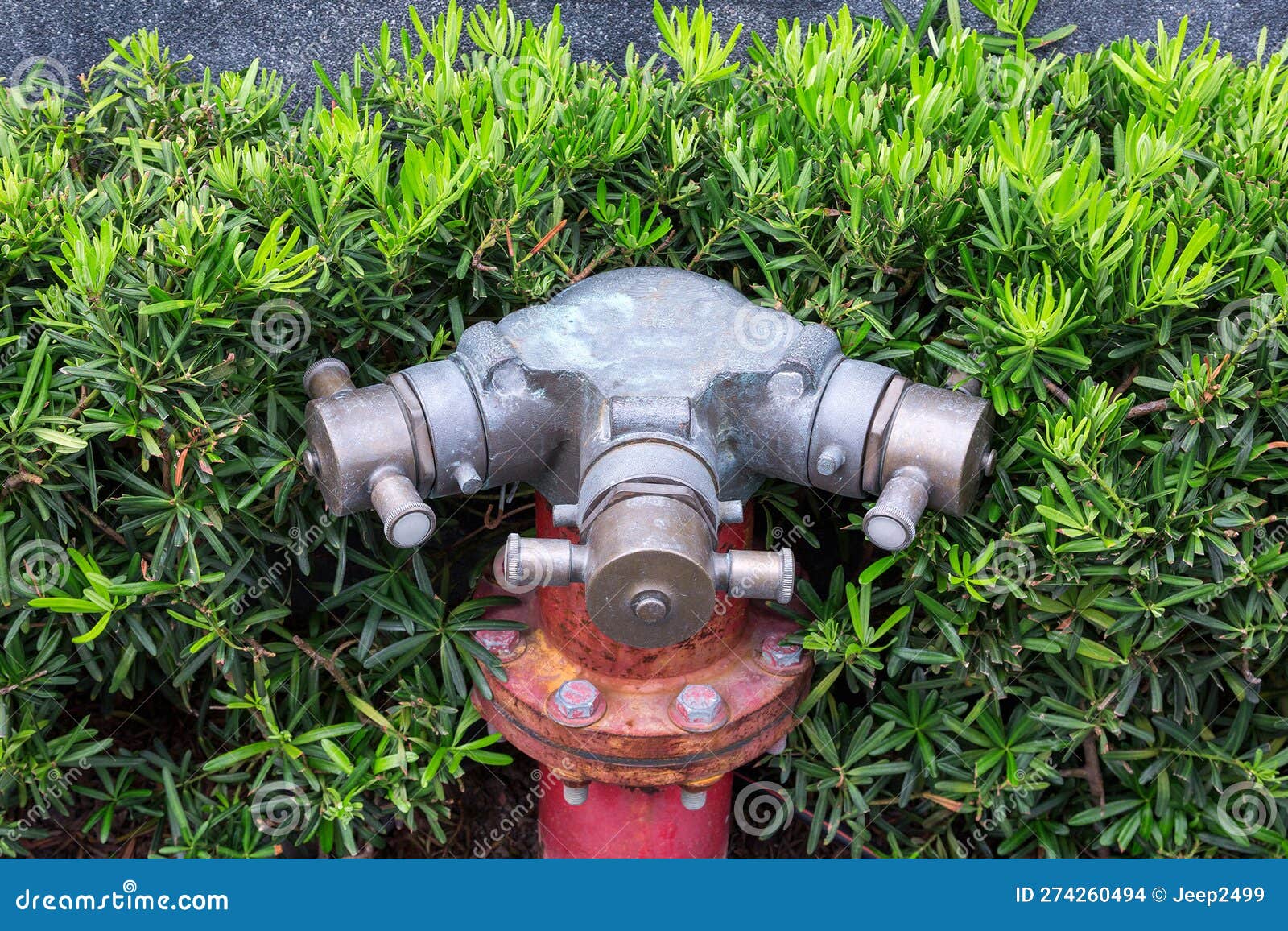 Fire water faucet. stock photo. Image of fire, construction - 274260494