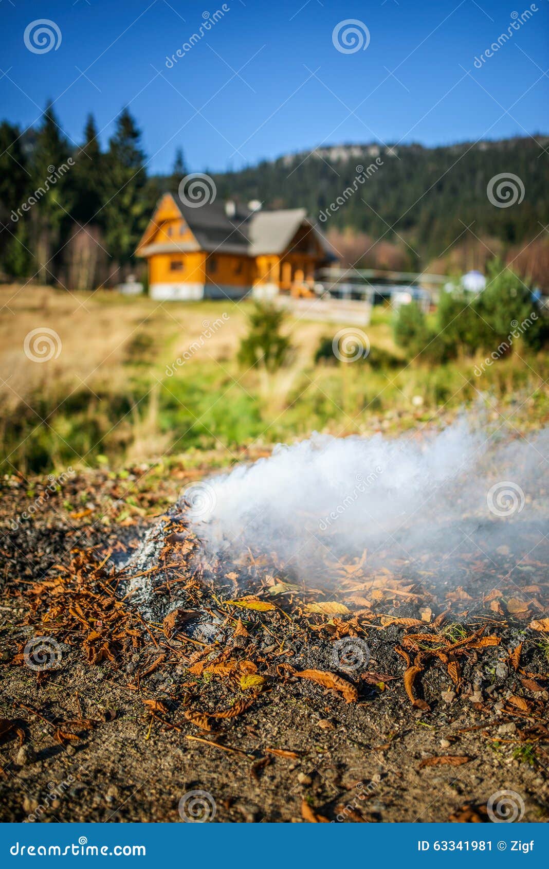 Fire, Which Burned Autumn Leaves Stock Image - Image of landscape ...